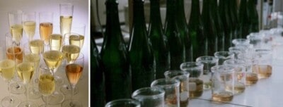 What is Champagne? And what makes it different from Sparkling wine?