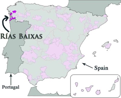 Albariño Wine Guide - Vindulge