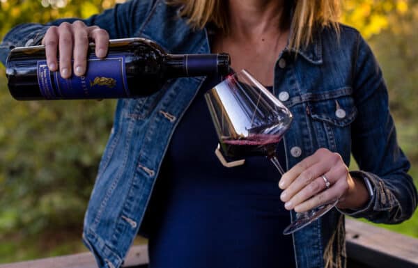 Merlot Wine - Your go-to guide - Vindulge