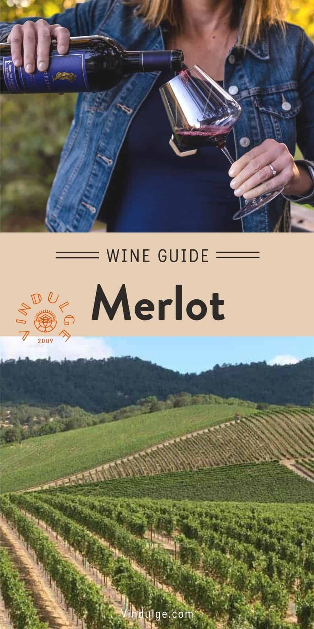 Merlot Wine - Your go-to guide - Vindulge