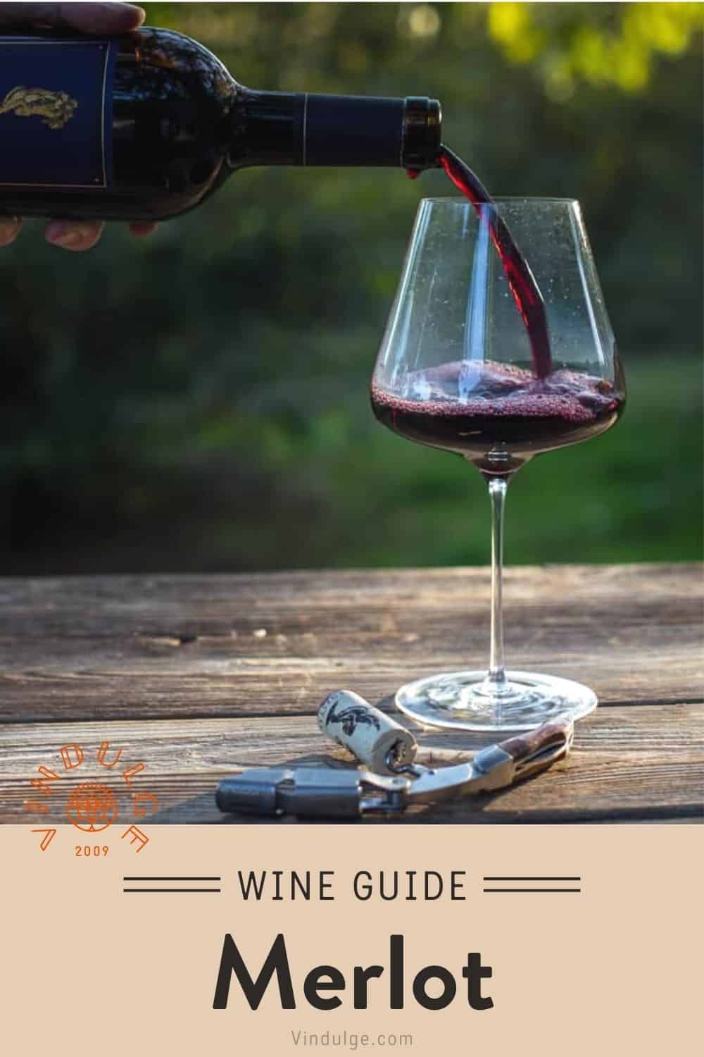 Merlot Wine - Your go-to guide - Vindulge