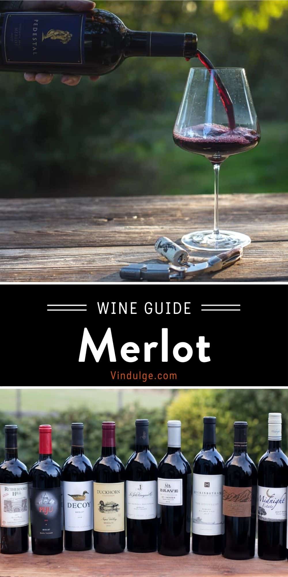 Merlot Wine - Your go-to guide - Vindulge