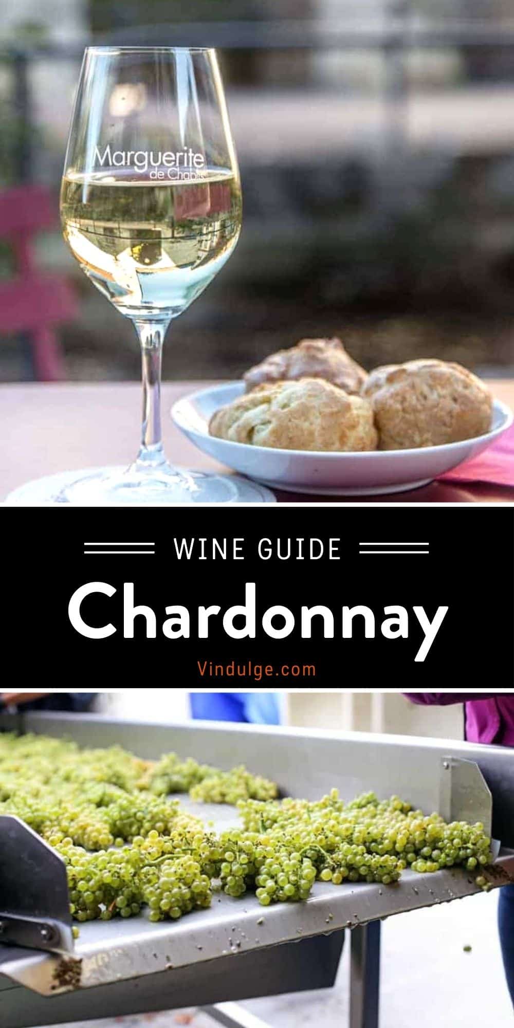 Chardonnay Wine Guide - Vindulge