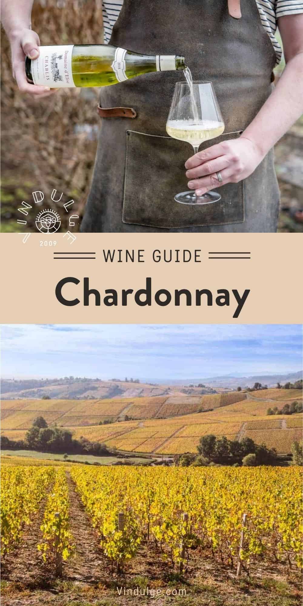 Chardonnay Wine Guide - Vindulge