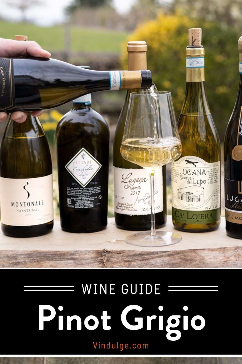 Pinot Gris (Pinot Grigio) Wine Guide - Vindulge