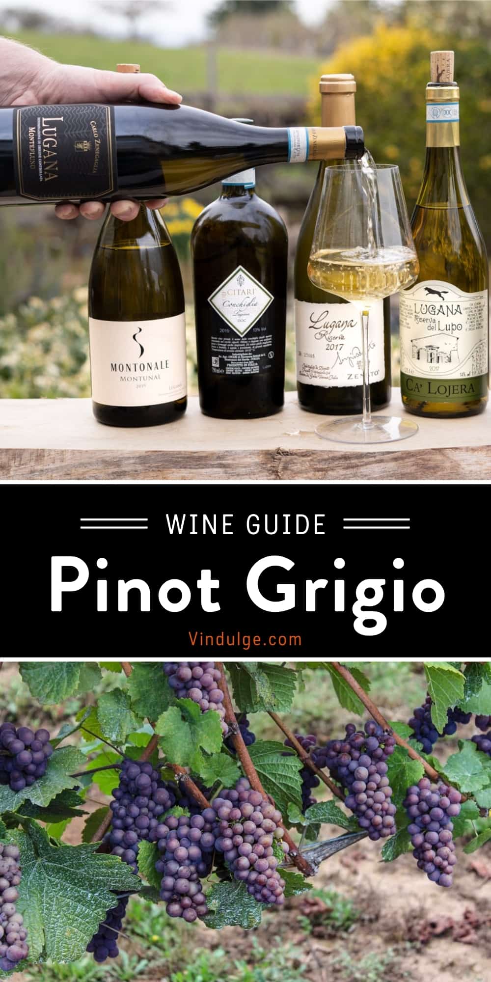 Pinot Gris (Pinot Grigio) Wine Guide - Vindulge