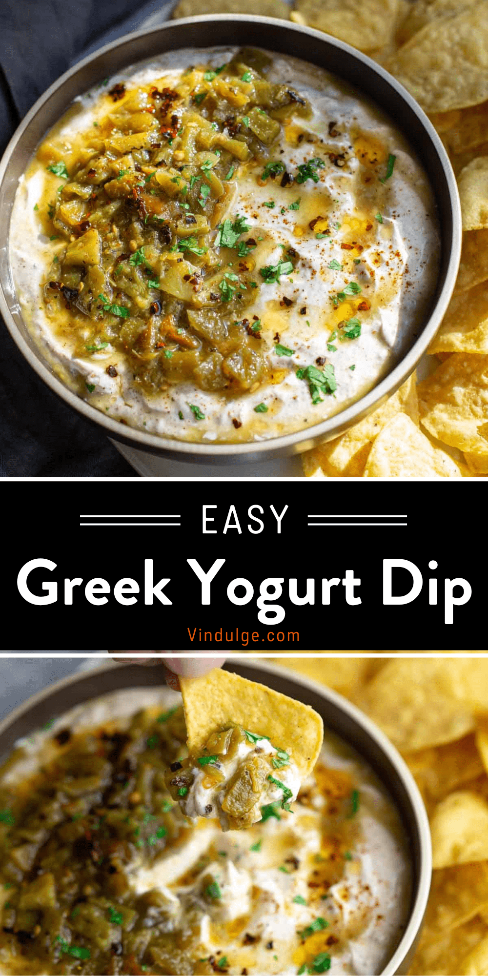 Easy Greek Yogurt Dip Recipe With Green Chile - Vindulge