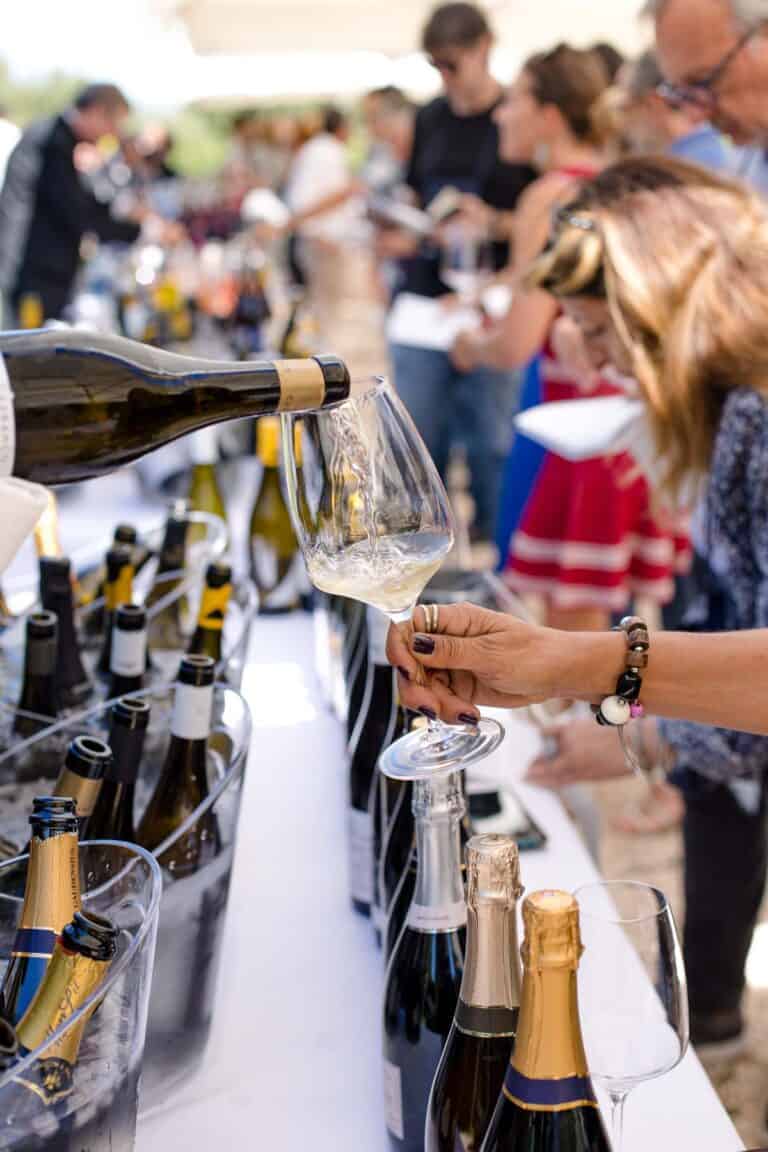 Wine Regions of Italy - Etna DOC Wine Region - Vindulge