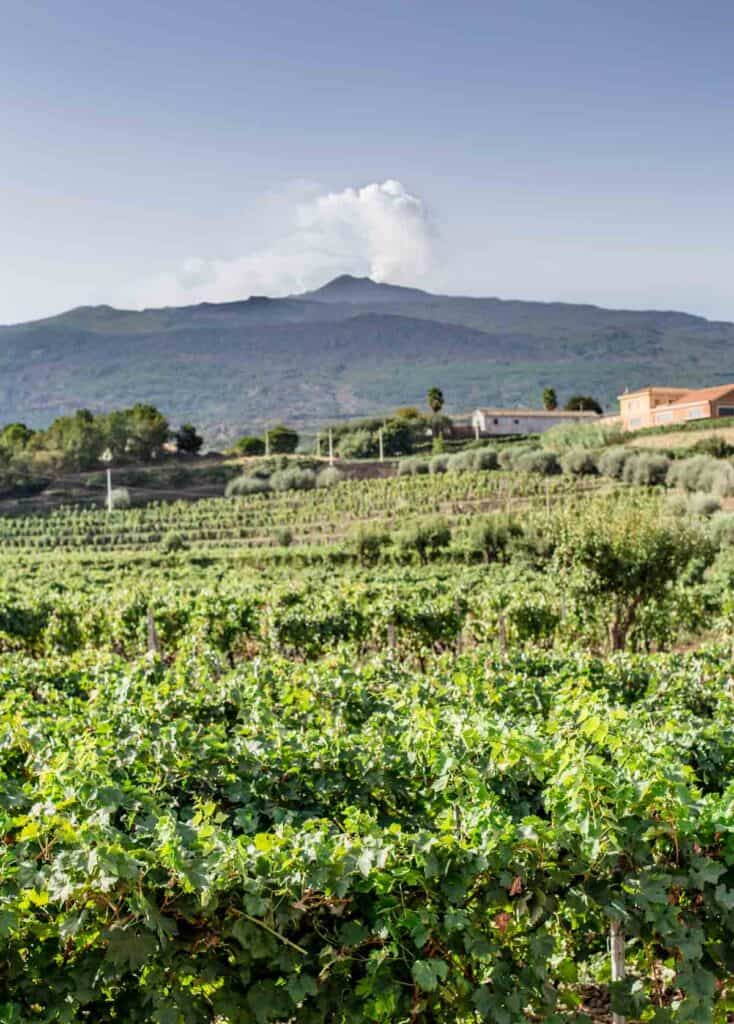 Wine Regions of Italy - Etna DOC Wine Region - Vindulge
