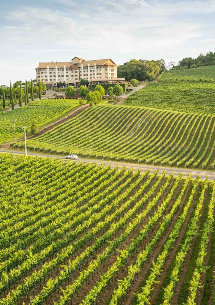 Introduction to Brazilian Wines - Wines of Brazil Guide - Vindulge