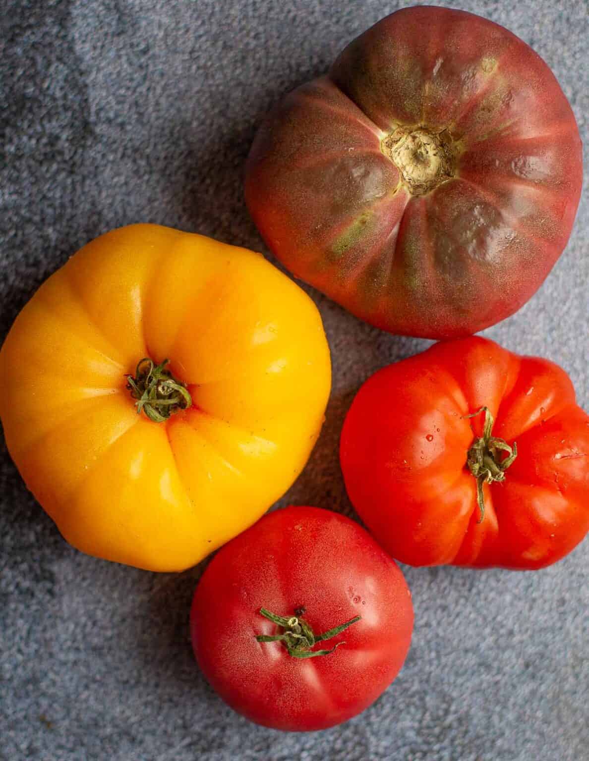 Pan Con Tomate (Grilled Spanish Tomato Toast) - Vindulge