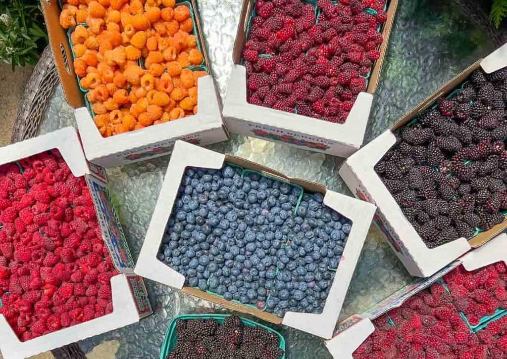 Cooking with Blackberries - Fresh or Frozen - And Our Favorite Recipes ...
