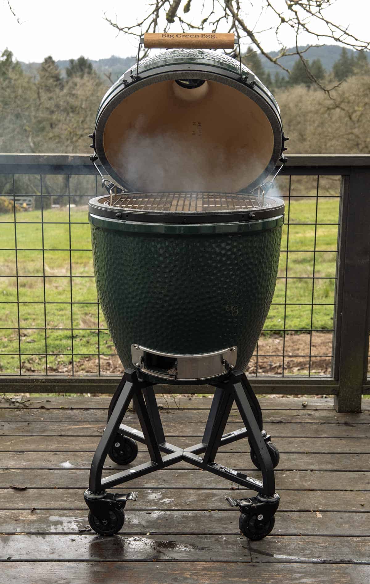 How To Shut Down A Charcoal Grill - Vindulge