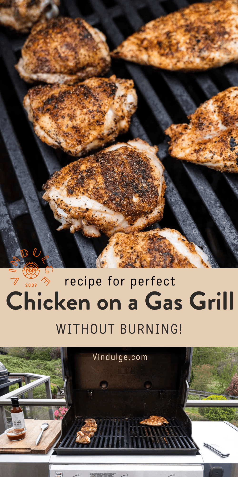 How To Cook Chicken On A Gas Grill Without Burning - Vindulge