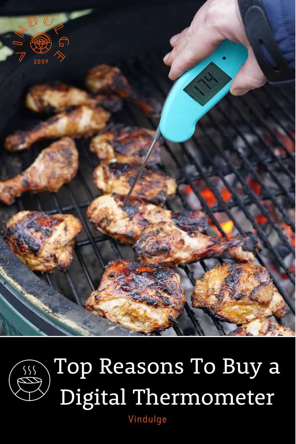 Instant Read vs Dial Thermometers: Which Is The Best Cooking Tool ...