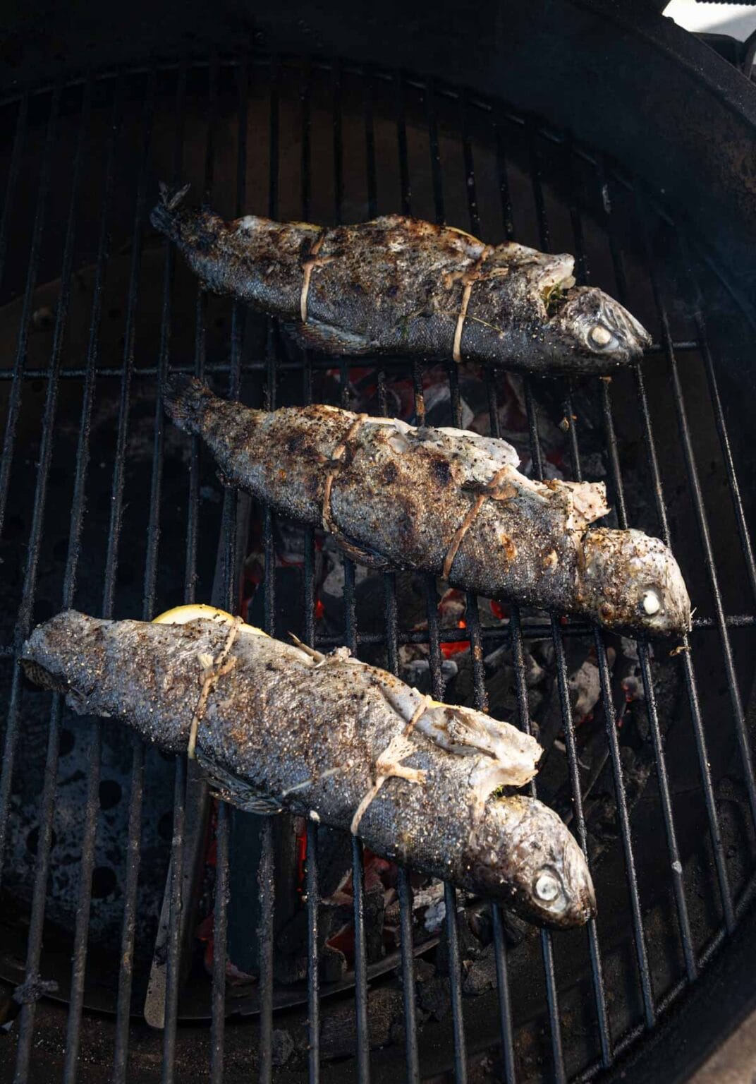 Easy Stuffed Grilled Trout - Vindulge